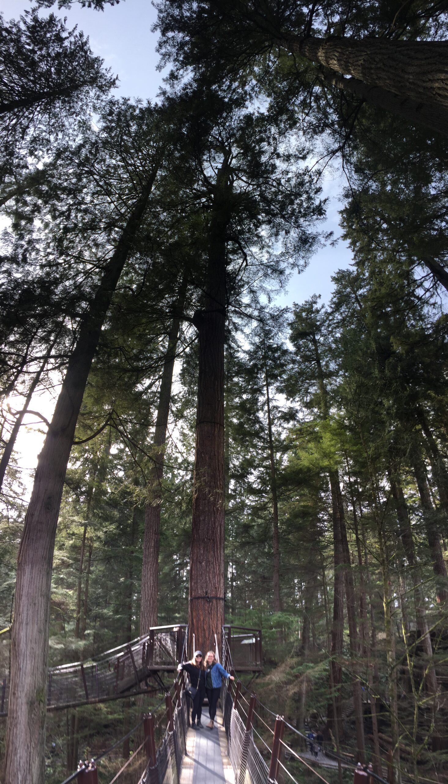 6 Great BC Summer Road Trip Stops - Everywhere She Travels